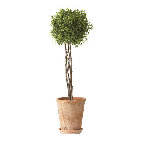 Decorative Trees & Flowers | Floral Decor | Ethan Allen