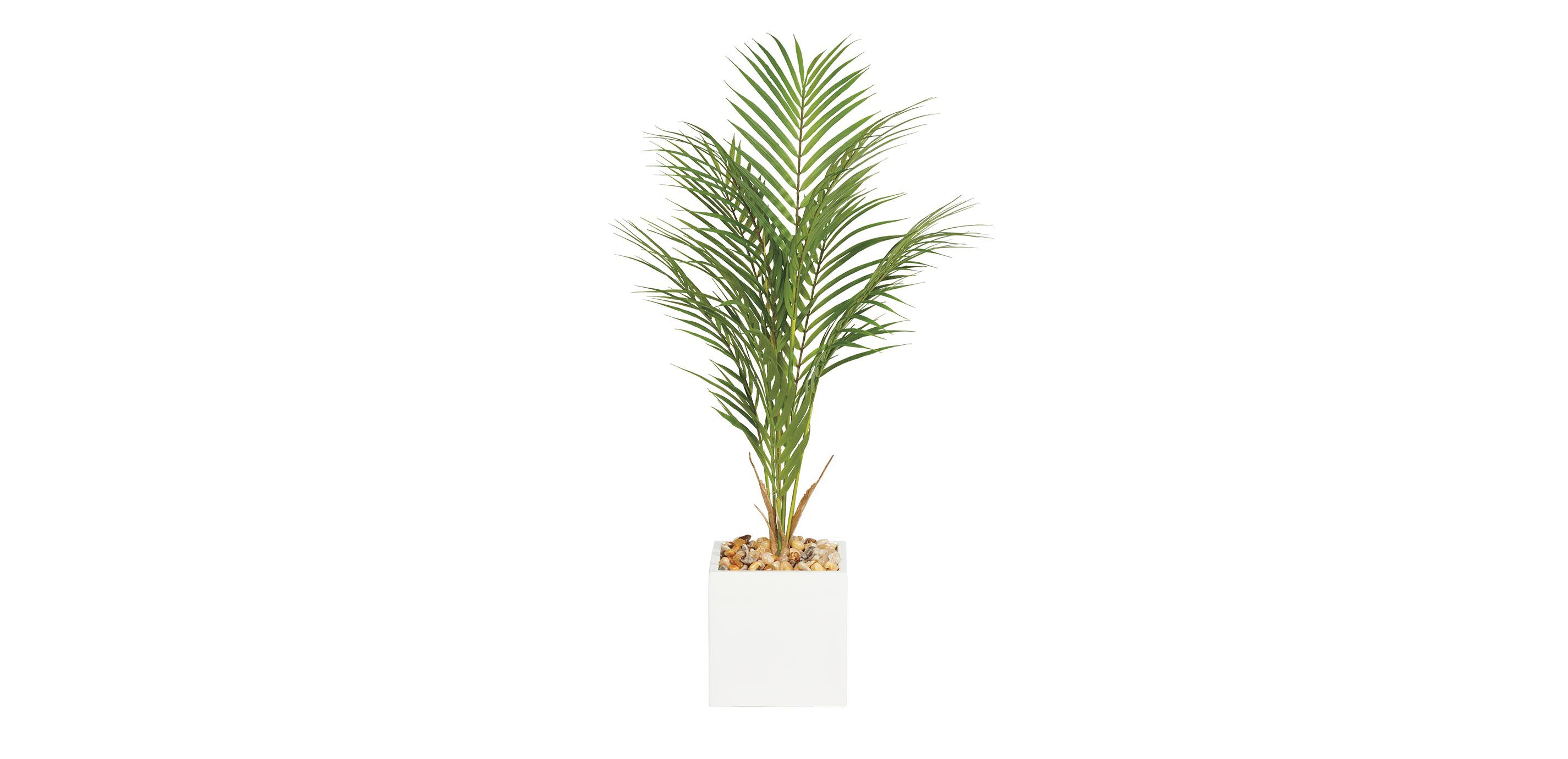 Palm in Square White Pot | Tropical Floral Arrangements | Ethan Allen