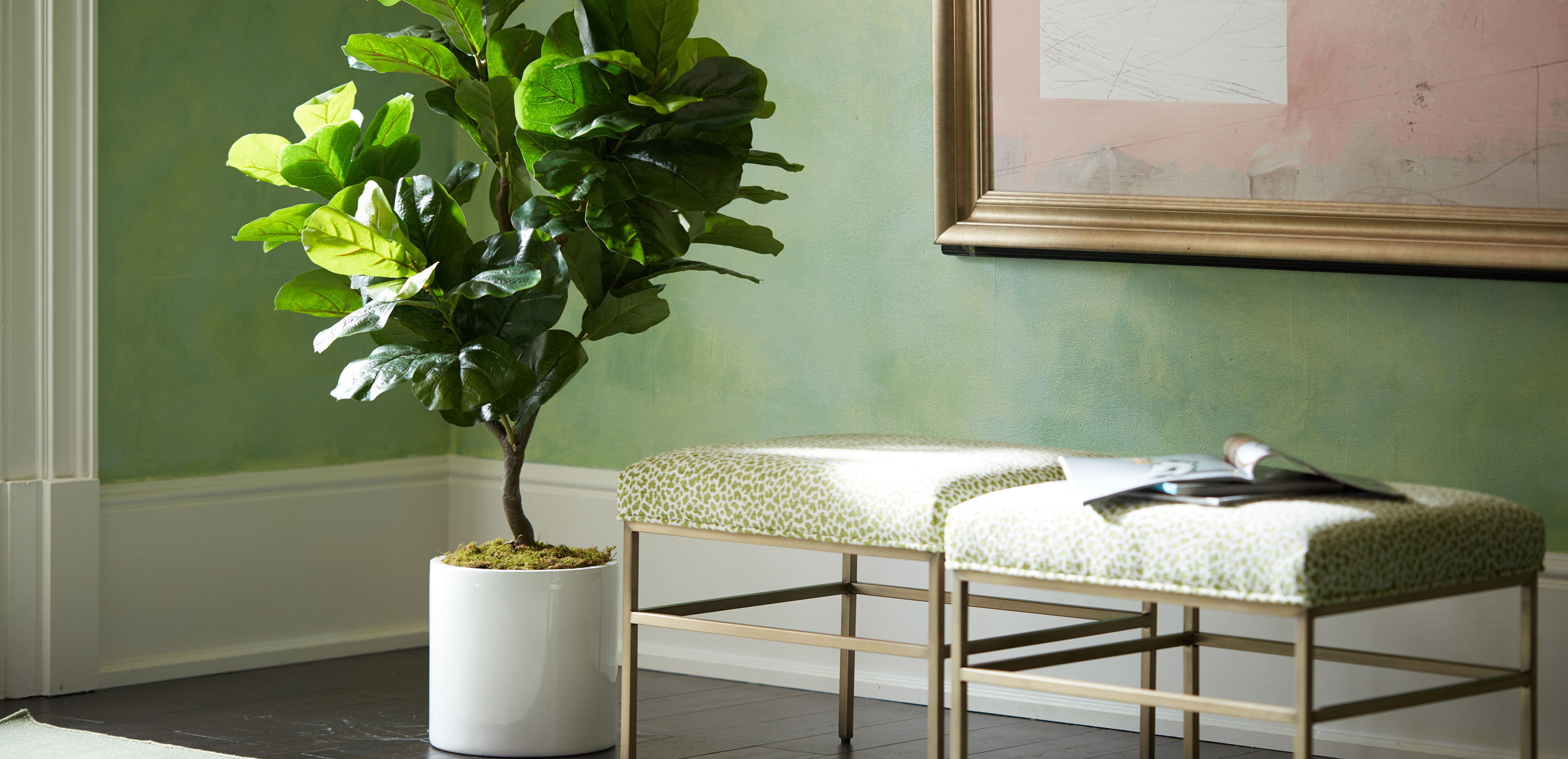 Fiddle-Leaf Tree in White Pot | Decorating with Ficus Trees | Ethan Allen