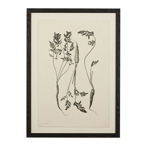 Shop Framed Floral Art | Floral and Botanical Prints | Ethan Allen ...