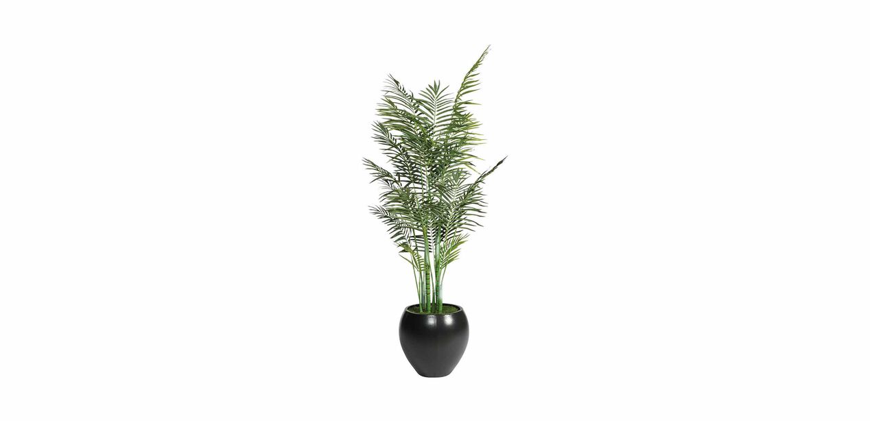 Areca Palm Tree | FLORALS & TREES | Ethan Allen