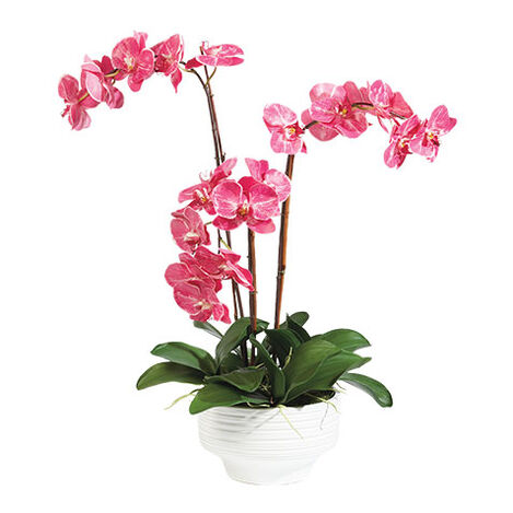 Decorative Trees & Flowers | Floral Decor | Ethan Allen