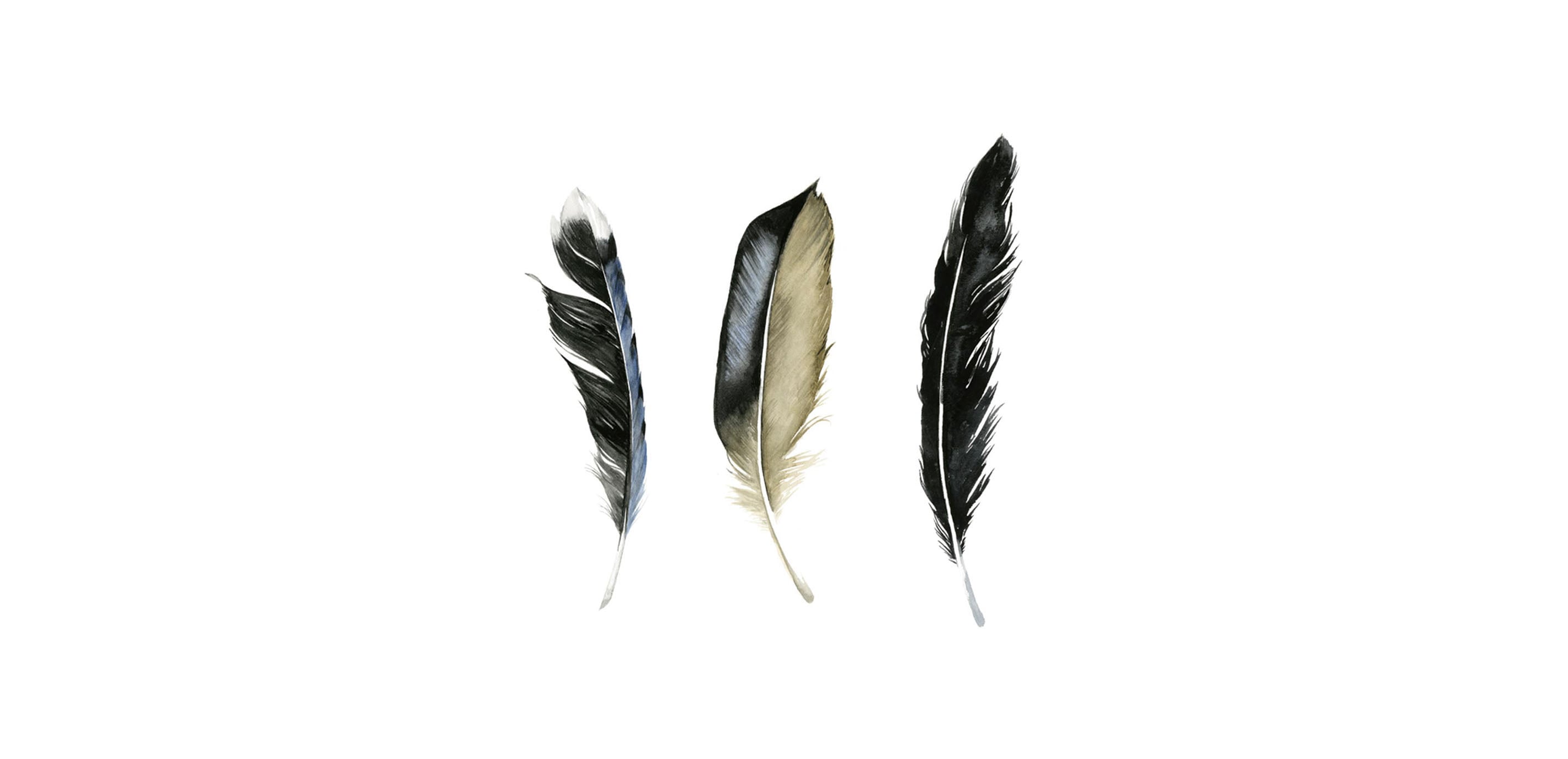 Soft Feathers II | Ethan Allen