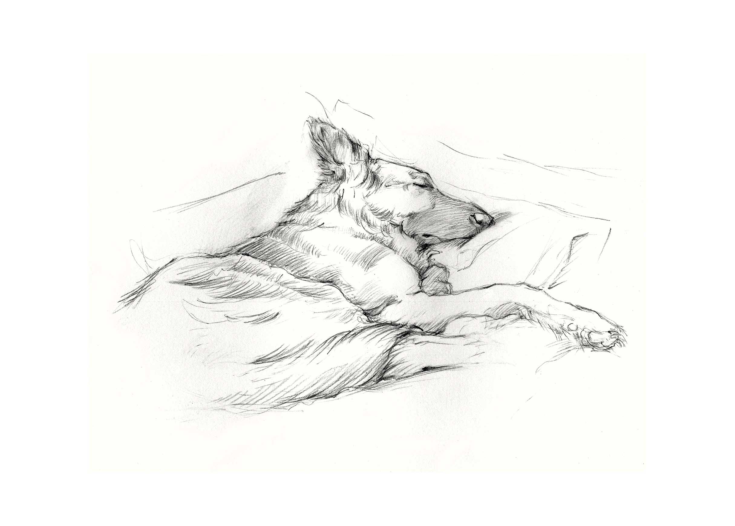 Best Friend Wolf Lineart