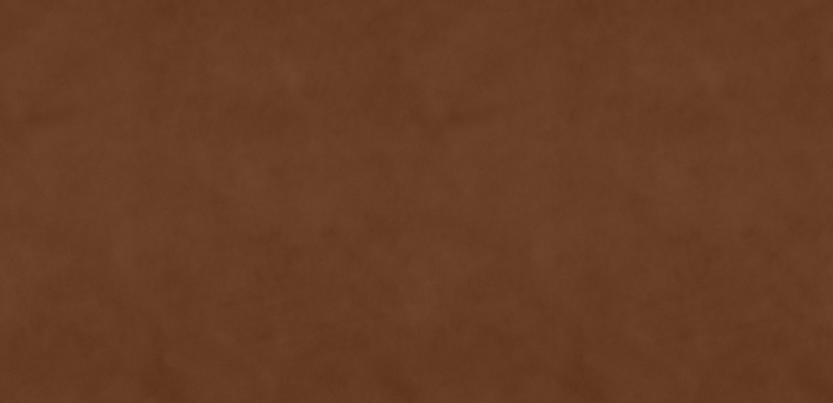 Light Brown Leather Swatch
